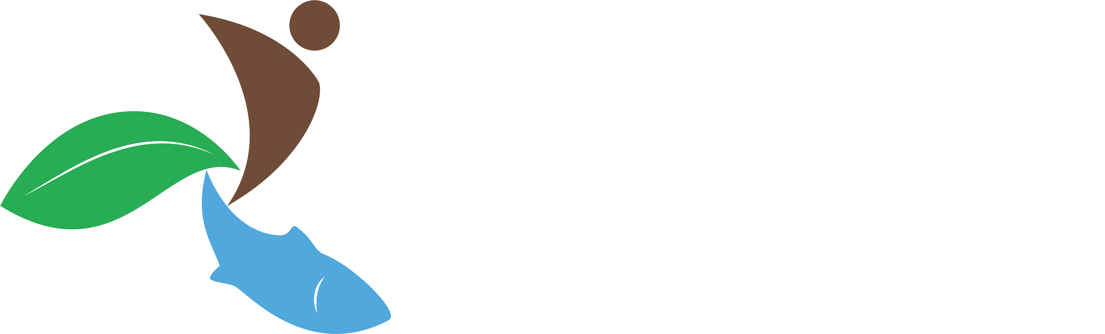 Who We Are PEMSEA Who We Are PEMSEA